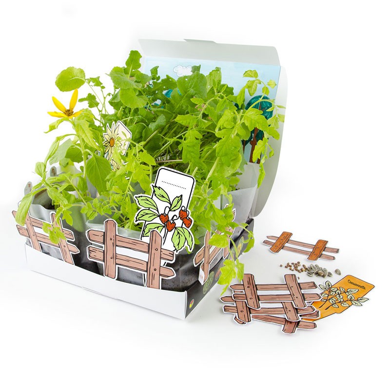 Kit potager enfant - Radis et Capucine