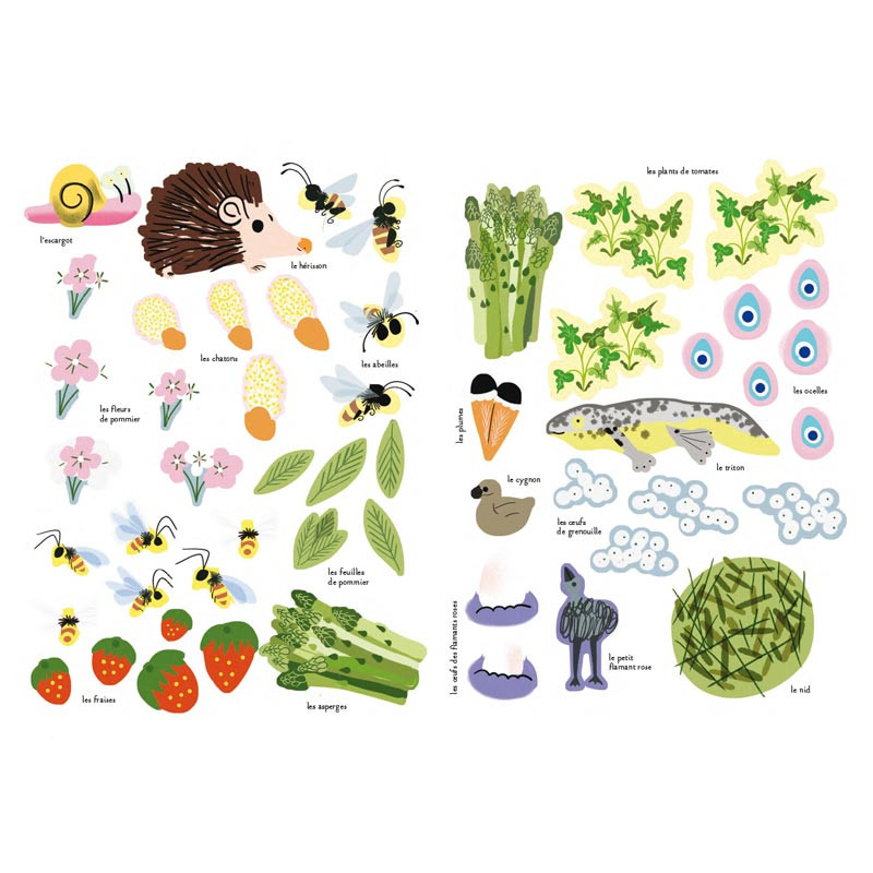 Mon cahier Nature - Amaterra - faune et flore du printemps